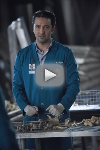 Watch Bones Online: Season 12 Episode 12 - TV Fanatic Watch Bones Online: Season 12 Episode 12 - TV Fanatic
