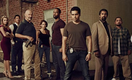 Gang Related - TV Fanatic