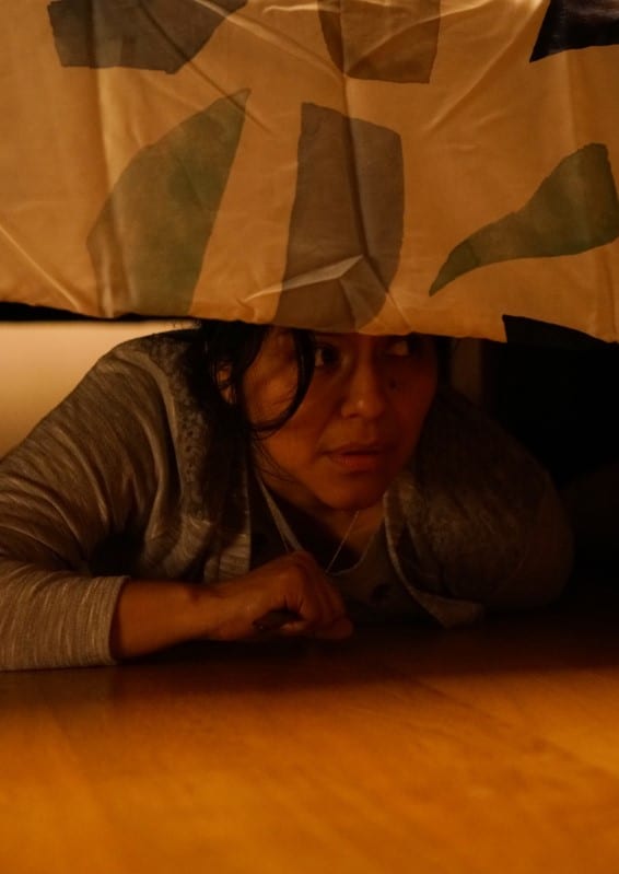 Hiding Under The Bed Tv Fanatic