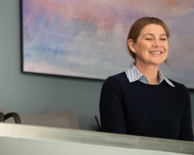 Meredith's Happy Face - Grey's Anatomy - TV Fanatic