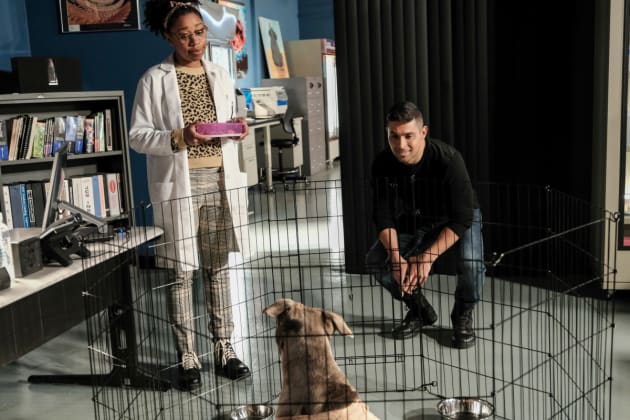 NCIS Season 18 Episode 10 Review: Watchdog - TV Fanatic NCIS Season 18 Episode 10 Review: Watchdog - TV Fanatic