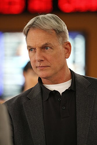 Gibbs Pic - TV Fanatic Gibbs Pic - TV Fanatic