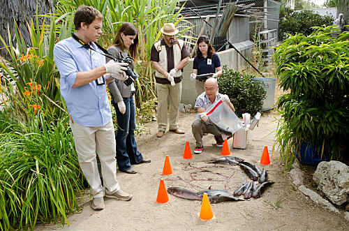 Dexter Review: A Fatal One Night Stand - TV Fanatic