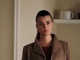 Marina Sirtis Cast on NCIS as Eli David Successor - TV Fanatic