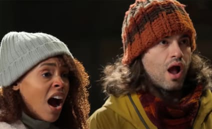 The Mole - TV Fanatic