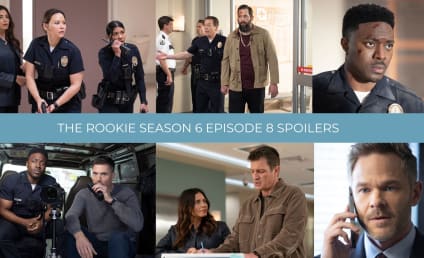 The Rookie - TV Fanatic