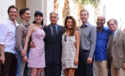 NCIS - TV Fanatic