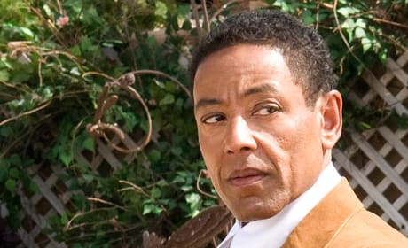 Gustavo "Gus" Fring Photos - TV Fanatic