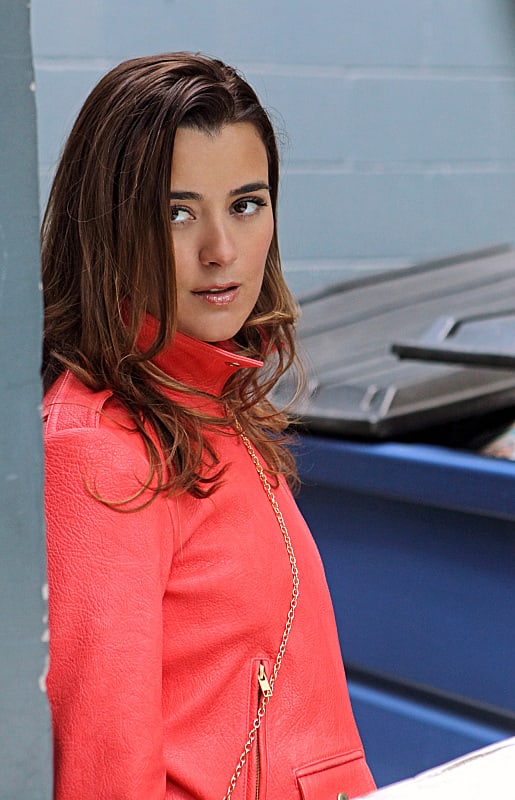 Ziva D. Picture - TV Fanatic
